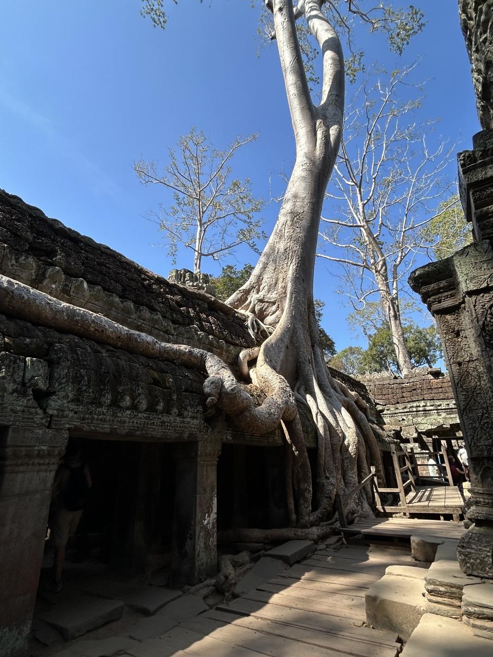 『年末年始は海外で【カンボジア編】 ①シェムリアップ・アンコールトム』シェムリアップ(カンボジア)の旅行記・ブログ by オッさん【フォートラベル】