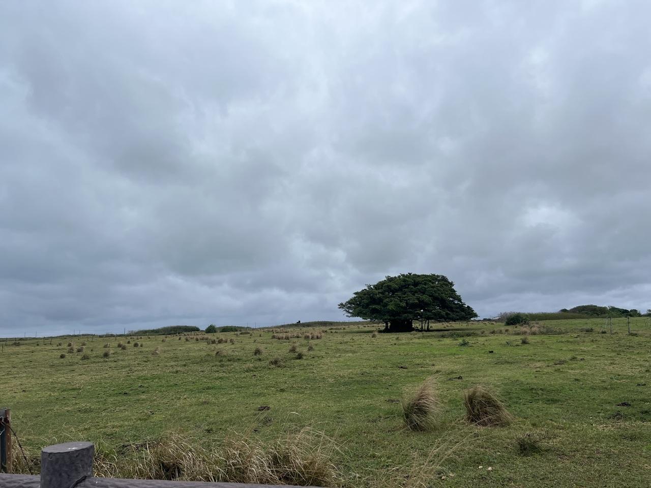 『女1人旅② 初めての黒島』沖縄県の旅行記・ブログ by Mika.sさん【フォートラベル】