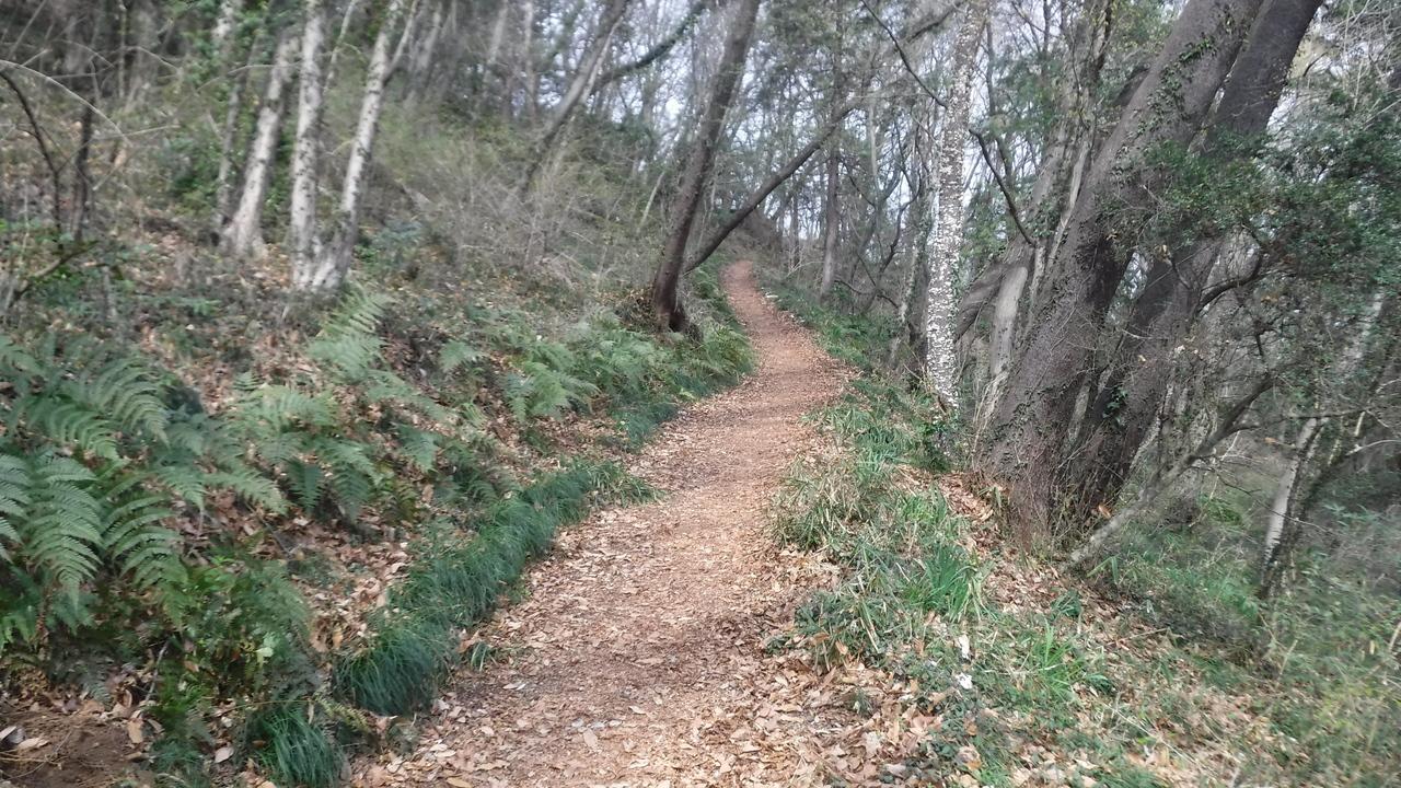 『三毳山のカタクリを愛でる』佐野(栃木県)の旅行記・ブログ by やすちんさん【フォートラベル】