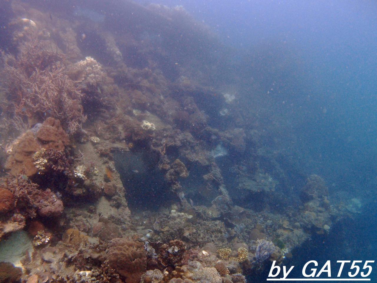 『時が止まった戦場へコロン湾でDIVE！～特設駆潜艇 得撫丸(URUPPU MARU)～』カラミアン諸島(フィリピン)の旅行記・ブログ by ...