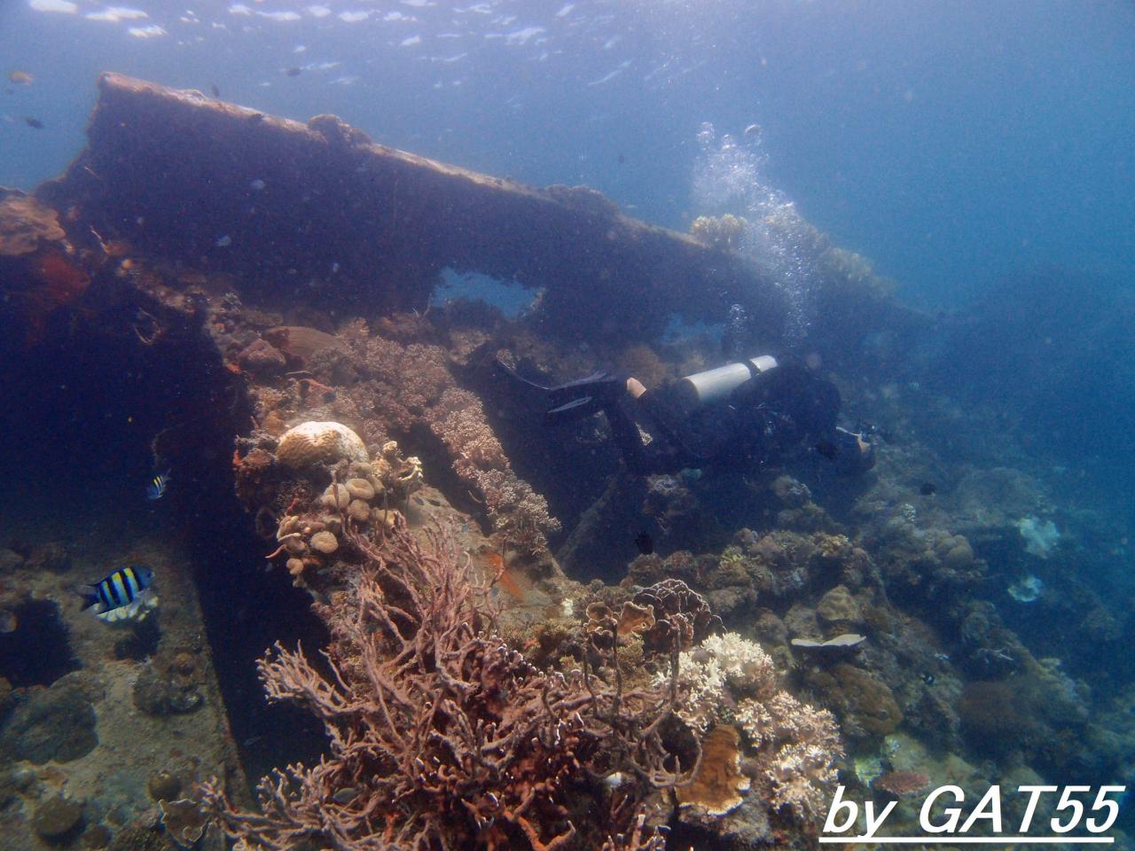 『時が止まった戦場へコロン湾でDIVE！～特設駆潜艇 得撫丸(URUPPU MARU)～』カラミアン諸島(フィリピン)の旅行記・ブログ by ...