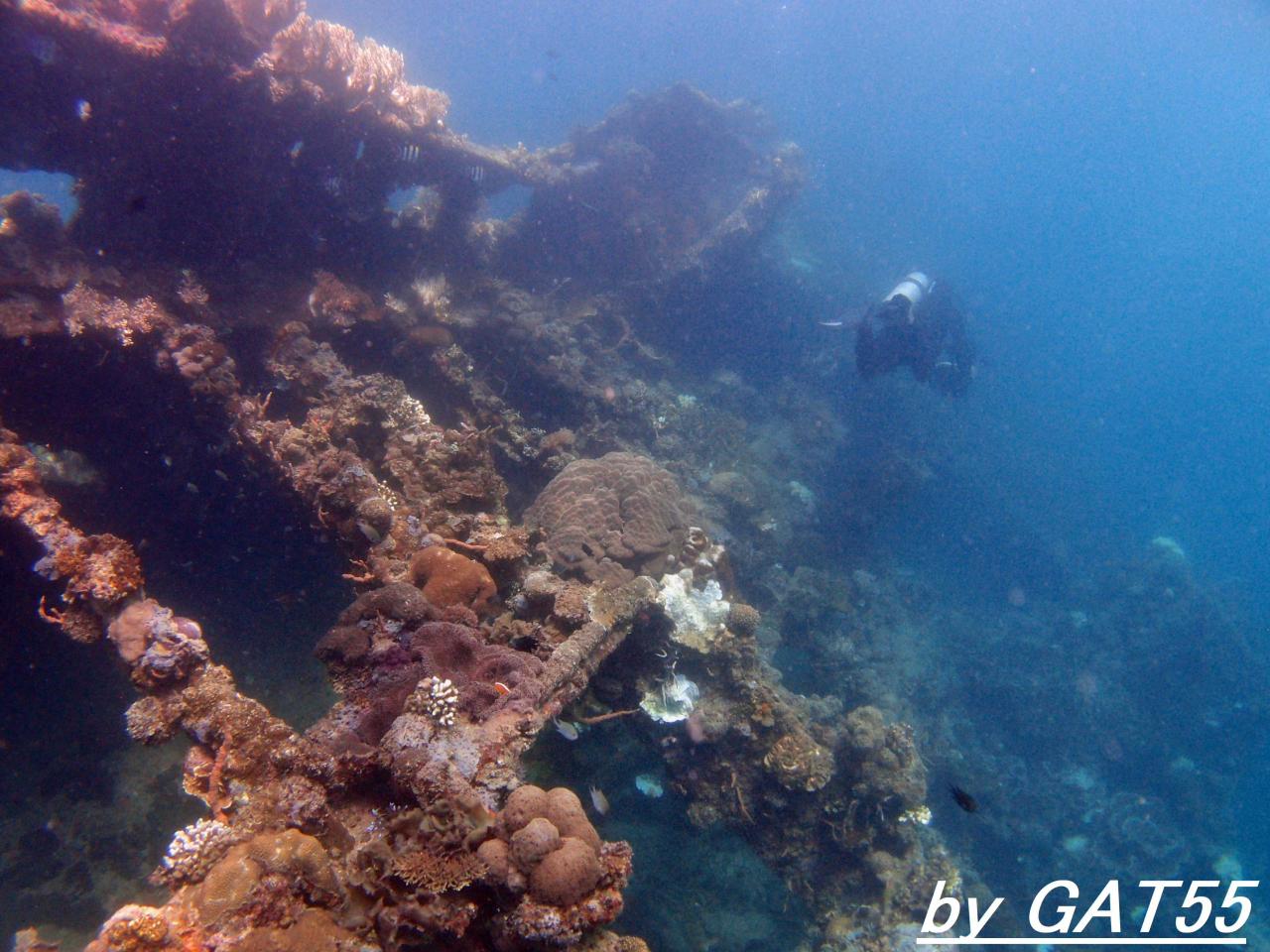 『時が止まった戦場へコロン湾でDIVE！～特設駆潜艇 得撫丸(URUPPU MARU)～』カラミアン諸島(フィリピン)の旅行記・ブログ by ...