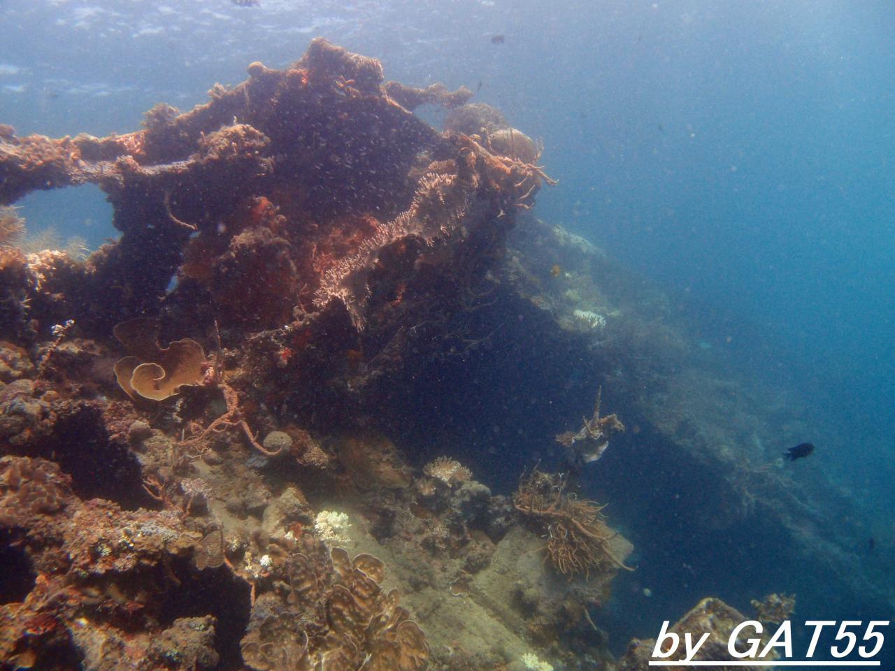 『時が止まった戦場へコロン湾でDIVE！～特設駆潜艇 得撫丸(URUPPU MARU)～』カラミアン諸島(フィリピン)の旅行記・ブログ by ...