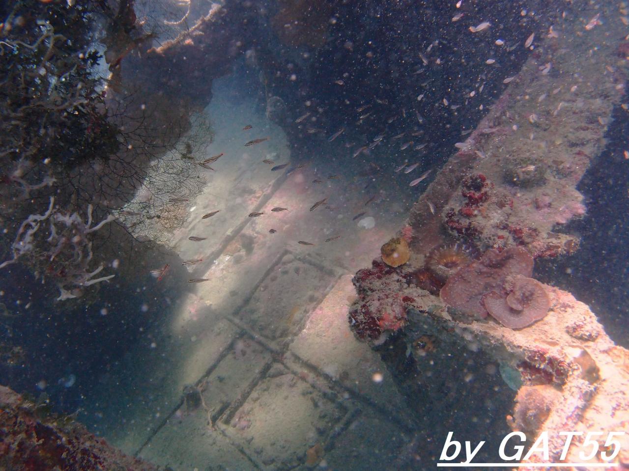 『時が止まった戦場へコロン湾でDIVE！～特設駆潜艇 得撫丸(URUPPU MARU)～』カラミアン諸島(フィリピン)の旅行記・ブログ by ...