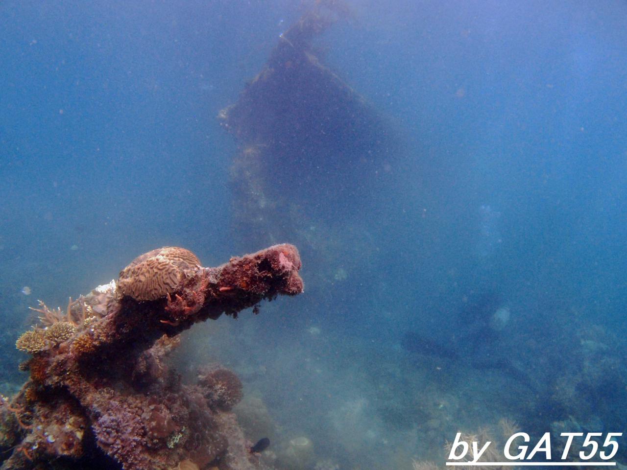 『時が止まった戦場へコロン湾でDIVE！～特設駆潜艇 得撫丸(URUPPU MARU)～』カラミアン諸島(フィリピン)の旅行記・ブログ by ...
