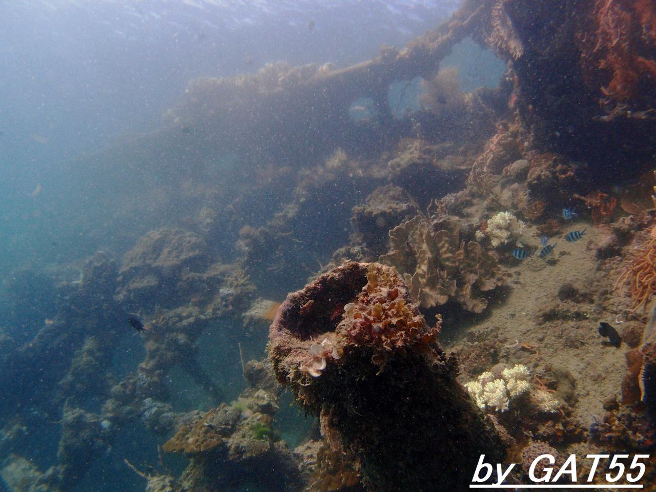 『時が止まった戦場へコロン湾でDIVE！～特設駆潜艇 得撫丸(URUPPU MARU)～』カラミアン諸島(フィリピン)の旅行記・ブログ by ...