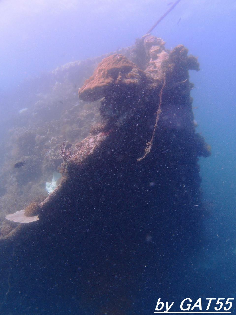 『時が止まった戦場へコロン湾でDIVE！～特設駆潜艇 得撫丸(URUPPU MARU)～』カラミアン諸島(フィリピン)の旅行記・ブログ by ...