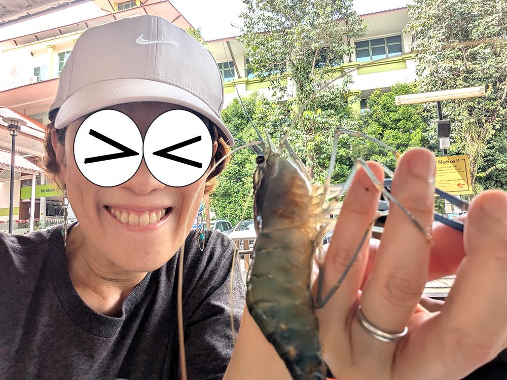 『食い倒れ夏休み☆シンガポールでホーカー巡り(1/2)』シンガポール(シンガポール)の旅行記・ブログ by 旅太郎のお母さんさん【フォートラベル】