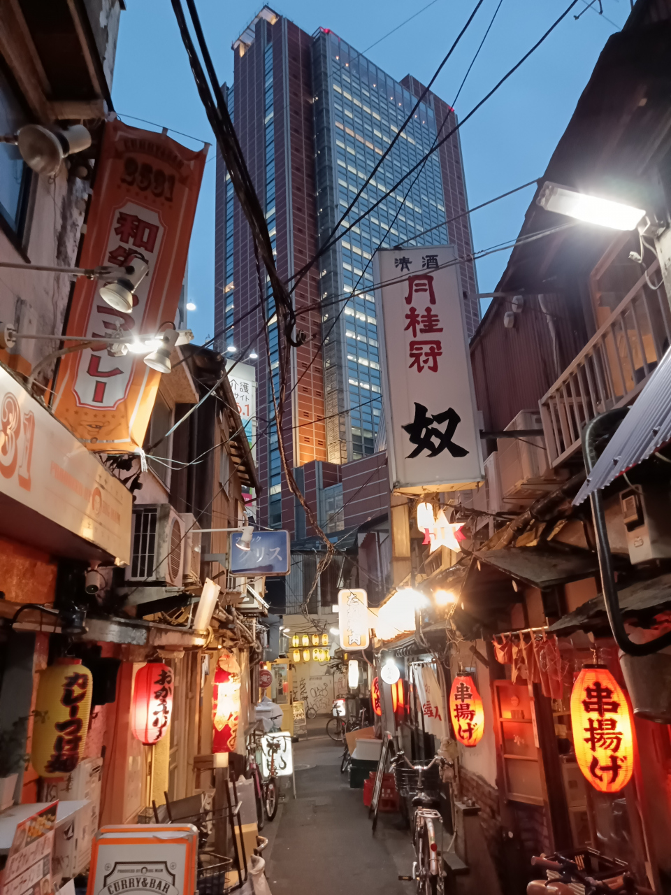 『アーケードの在る商店街』by hidezou｜エコー仲見世商店街のクチコミ - フォートラベル