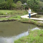 本場奄美大島紬泥染公園 クチコミ・アクセス・営業時間|奄美 本場奄美大島紬泥染公園 クチコミ・アクセス・営業時間|奄美