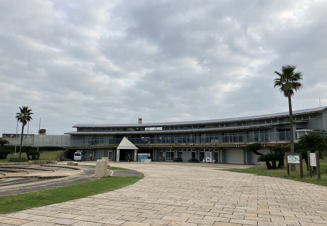 サーフビレッジ クチコミ・アクセス・営業時間|藤沢・江ノ島 サーフビレッジ クチコミ・アクセス・営業時間|藤沢・江ノ島