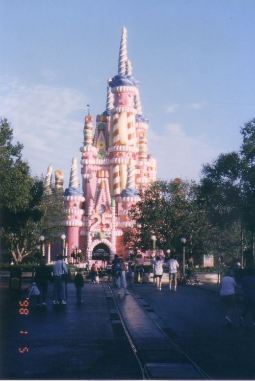 ディズニーワールド25周年』オーランド(アメリカ)の旅行記 ディズニーワールド25周年』オーランド(アメリカ)の旅行記