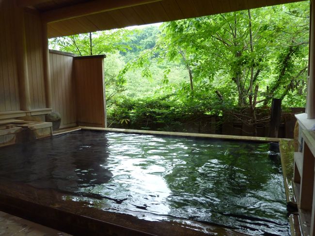 『奥飛騨温泉郷 福地温泉 「山里のいおり 草円」再訪 』福地温泉・新平湯温泉 岐阜県 の旅行記・ブログ By ひろかなさん【フォートラベル】
