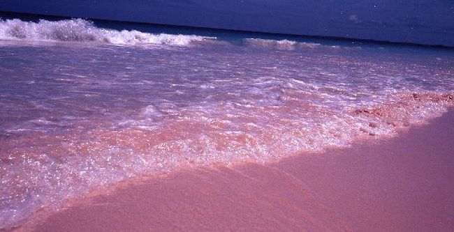 『バハマ旅行記・エル セラ島』エルーセラ島バハマの旅行記・ブログ By 鉄人60さん【フォートラベル】