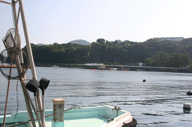 『スカンジナビア号沈没・寂しいですね』沼津静岡県の旅行記・ブログ By てんとう虫さん【フォートラベル】