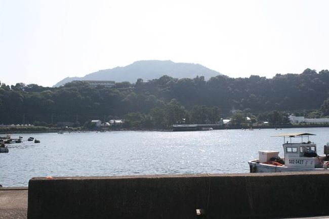 『スカンジナビア号沈没・寂しいですね』沼津静岡県の旅行記・ブログ By てんとう虫さん【フォートラベル】