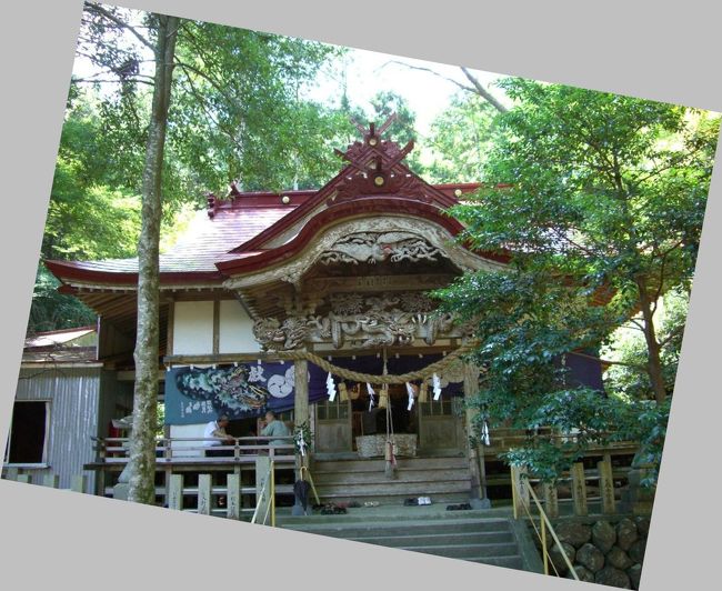 『日本一の大杉(と)美空ひばり』大豊・本山高知県の旅行記・ブログ By マブハイさん【フォートラベル】