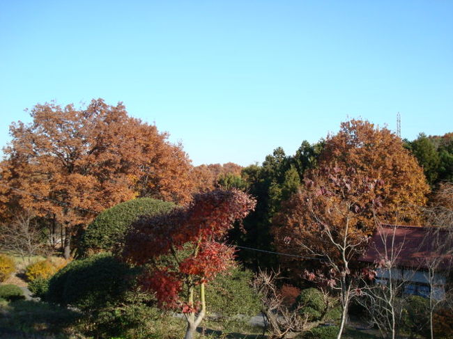 『里山ではまだ紅葉が』日高・鶴ヶ島・坂戸埼玉県の旅行記・ブログ By とらべるさん【フォートラベル】