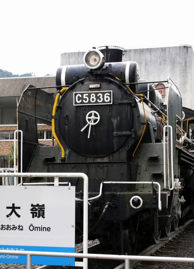 『ひとり旅 [144] 山口ぶらり旅「SL蒸気機関車C5836」山口県美祢市』秋吉台(山口県)の旅行記・ブログ by MechaGodzillaⅢ&703さん【フォートラベル】
