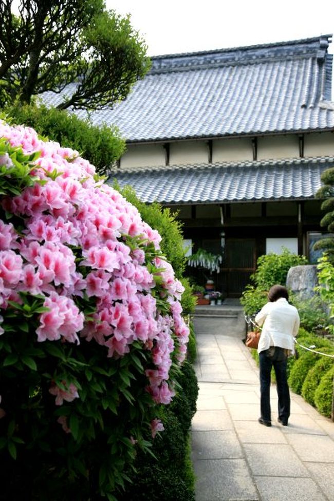 小さな旅○江南・曼陀羅寺(まんだらじ)公園の藤の花』岩倉 小さな旅○江南・曼陀羅寺(まんだらじ)公園の藤の花』岩倉
