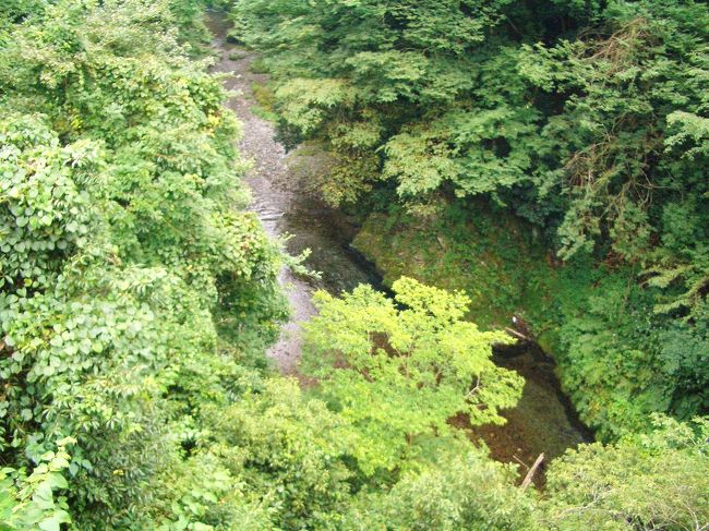 『秋川渓谷 観光旅館 本陣 でラジウム温泉と清流の鮎』あきる野・秋川渓谷東京の旅行記・ブログ By よいにゃんこさん【フォートラベル】