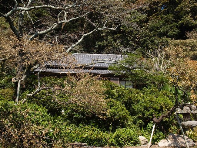 『鎌倉市川喜多映画記念館旧川喜多邸別邸(旧和辻邸)』鎌倉神奈川県の旅行記・ブログ By ドクターキムルさん【フォートラベル】