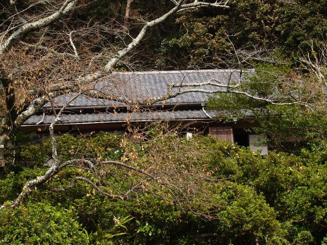 『鎌倉市川喜多映画記念館旧和辻邸－2011年秋の公開』鎌倉神奈川県の旅行記・ブログ By ドクターキムルさん【フォートラベル】