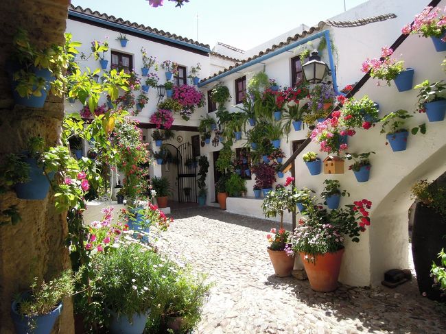 『6スペイン・コルドバの満開の花の小径2012年5月15日』コルドバスペインの旅行記・ブログ By ミックタチトシさん【フォートラベル】