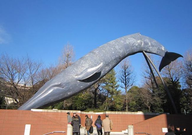 野生動物の剥製が壮観、国立科学博物館』上野・御徒町(東京)の 野生動物の剥製が壮観、国立科学博物館』上野・御徒町(東京)の