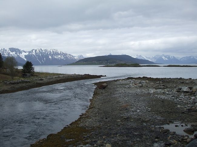 『美しきノルウエーの船旅(その5:ヴェスターレン諸島 )』その他の観光地ノルウェーの旅行記・ブログ By Mozartianさん【フォートラベル】