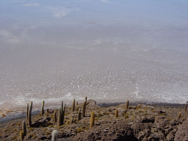 サボテンだらけの島で、天と地の融合を体験(ウユニ塩湖 サボテンだらけの島で、天と地の融合を体験(ウユニ塩湖
