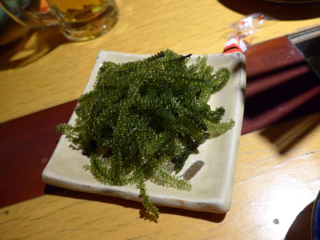 『沖縄料理のお店でライブショー 島唄楽園シマウタパラダイス』六本木東京の旅行記・ブログ By Sakuraさん【フォートラベル】