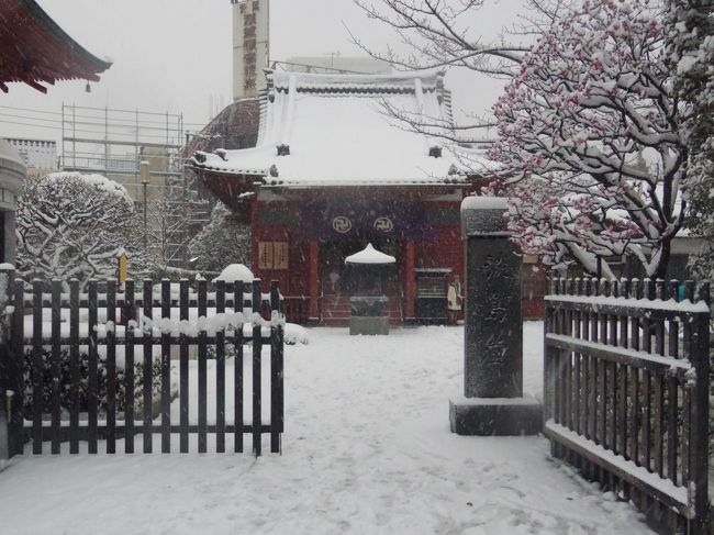 雪景色の浅草寺&スカイツリー』浅草(東京)の旅行記・ブログ by 雪景色の浅草寺&スカイツリー』浅草(東京)の旅行記・ブログ by