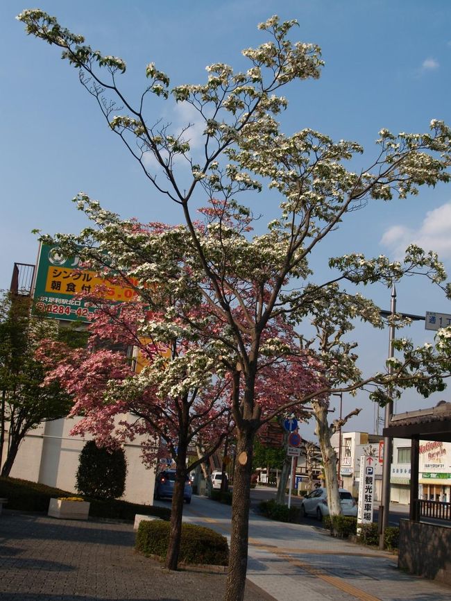 『足利の町並み』足利栃木県の旅行記・ブログ By ドクターキムルさん【フォートラベル】