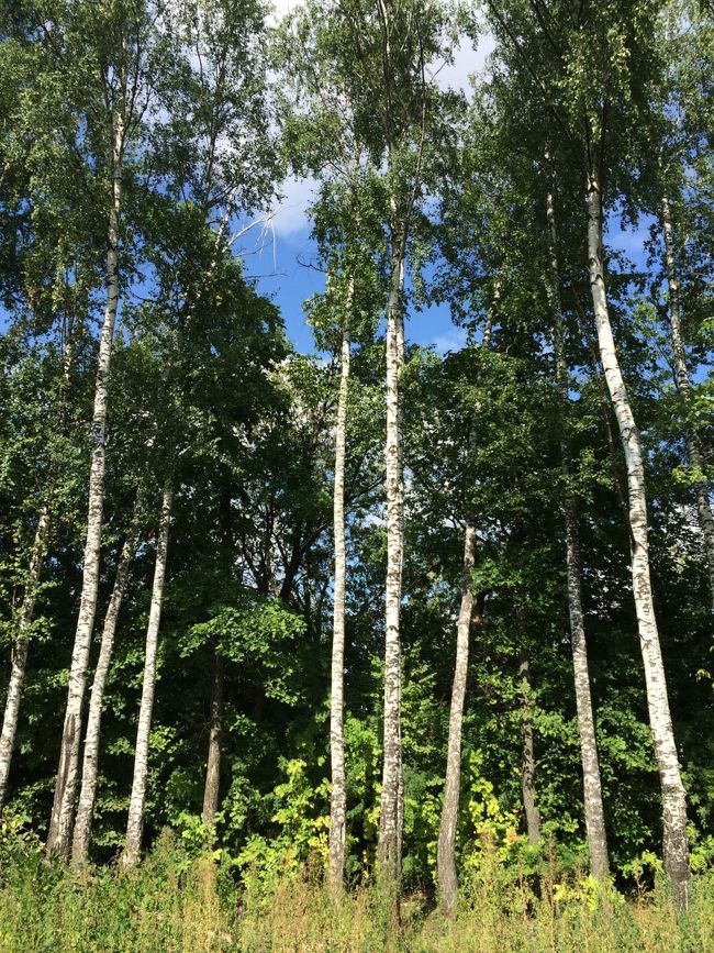 『ロシア マリエル自治共和国に行って来ました。』その他の都市ロシアの旅行記・ブログ By Tahtanさん【フォートラベル】