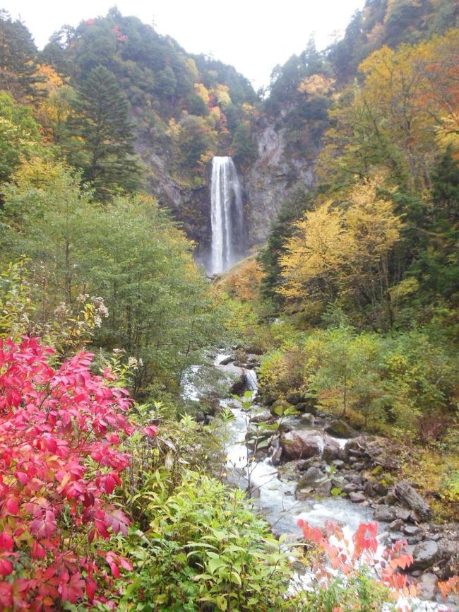 『奥飛騨・平湯大滝へ』平湯温泉 岐阜県 の旅行記・ブログ By 山帽子さん【フォートラベル】