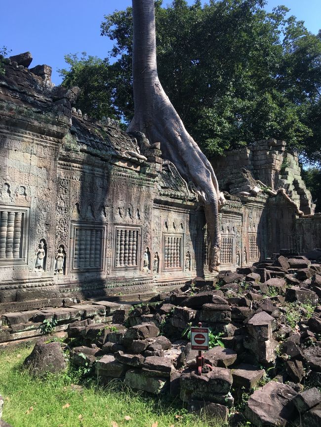 『アンコールワットの大回りコース(プリヤ•カーン+ニャックポアン+タソム』シェムリアップカンボジアの旅行記・ブログ By 日本語ガイド