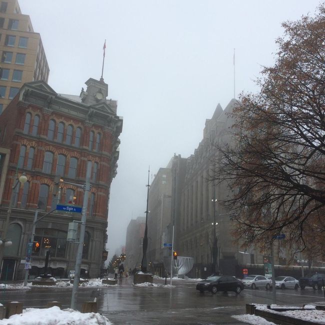 『冬のカナダへ(ダウンタウンオタワ編3 2018 In Canada』オタワカナダの旅行記・ブログ By Guleguleさん
