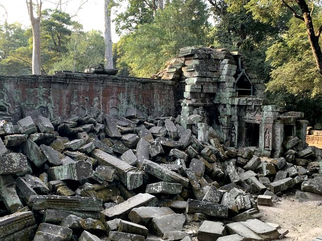 『天空の城ラピュタの世界!廃墟寺院に大樹が生茂るタプローム(アンコール遺跡群)』シェムリアップカンボジアの旅行記・ブログ By Kenny