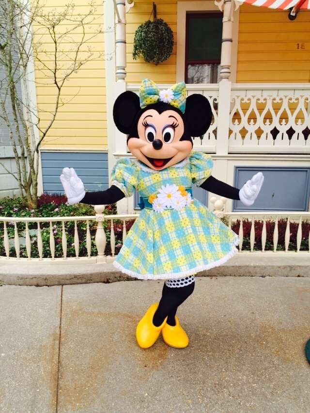 のぬいぐるみ ミニー PARIS レア!DISNEYLAND 濃かっ のぬいぐるみ ミニー PARIS レア!DISNEYLAND 濃かっ