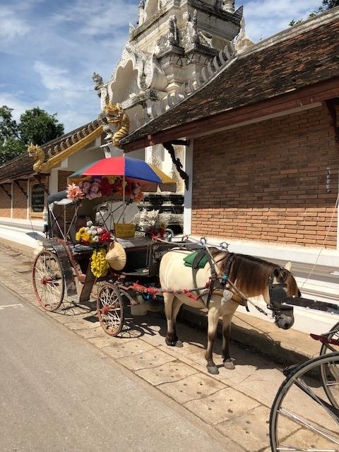 『バンコクからタイ国鉄でウタラディット、ランパーンへ』ランパーンタイの旅行記・ブログ By エックスさんさん【フォートラベル】