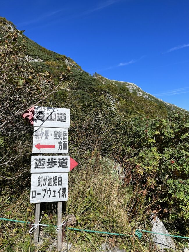 『千畳敷カールにお得なランチチケットで行きました～天空の2,612mの絶景Cafe』駒ヶ根(長野県)の旅行記・ブログ by たびんちゅさん【フォートラベル】