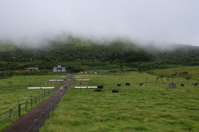 『八丈島 八丈富士登山と夏休み②』八丈島東京の旅行記・ブログ By シャンクスさん【フォートラベル】