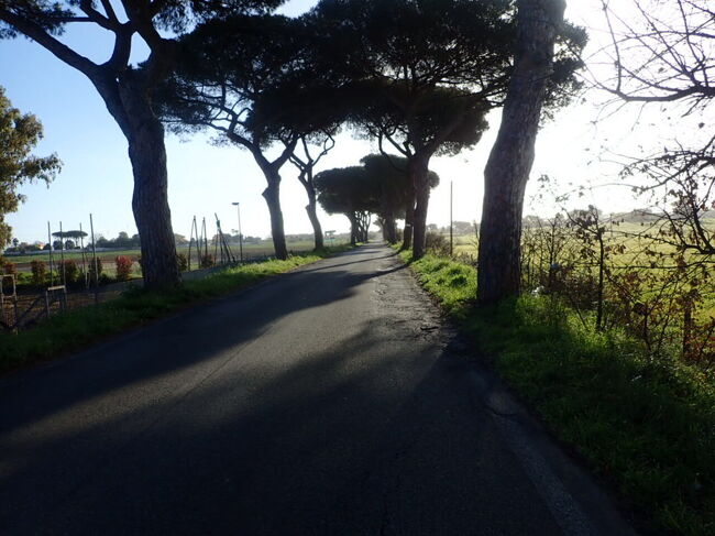 『自転車旅行（ローマからパリ）2日目 ポメーツィアからモンドラゴーネ』イタリアの旅行記・ブログ By 自転車野郎さん【フォートラベル】