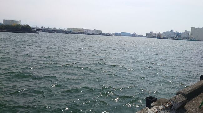 『静岡 3の③ 清水港でマグロ丼 日本平で桜と富士と東照宮』静岡市(葵区・駿河区)静岡県の旅行記・ブログ By はなまりんさん【フォートラベル】