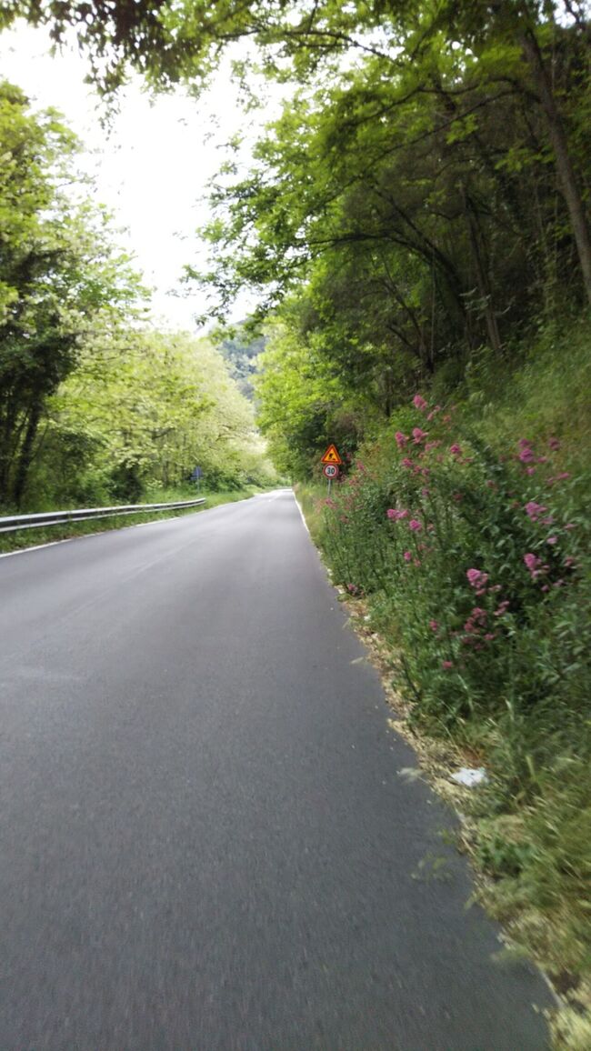 『自転車旅行(ローマからパリ)40日目 ピサからボルゲット・ディ・ヴァーラ』イタリアの旅行記・ブログ By 自転車野郎さん【フォートラベル】