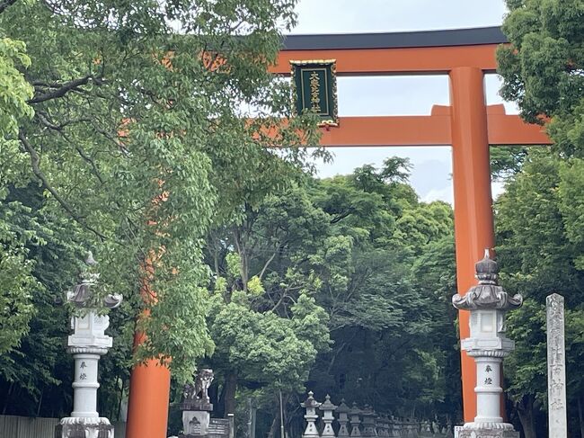 『毎月旅行⑧6月 弾丸日帰り徳島旅行 』鳴門徳島県の旅行記・ブログ By みんごさん【フォートラベル】