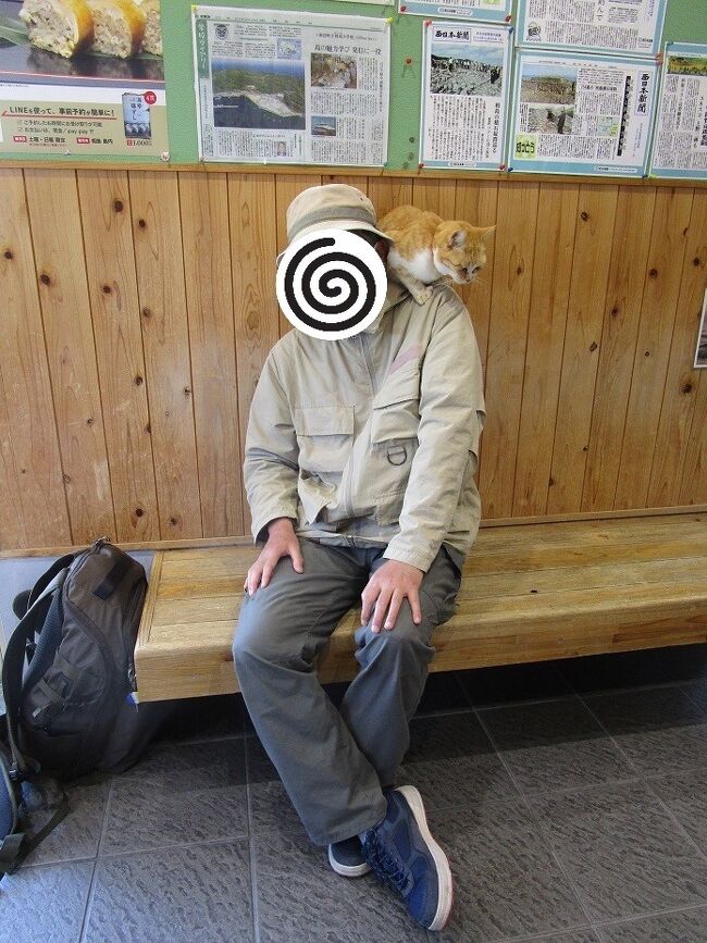 『猫島のネコ まとめ』博多福岡県の旅行記・ブログ By またたびさん【フォートラベル】
