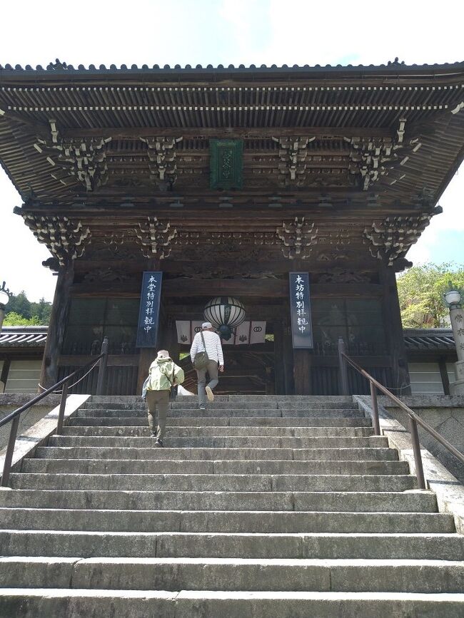 『石楠花の室生寺と牡丹の長谷寺に出会う奈良旅② ～長谷寺の牡丹～』桜井・三輪・山の辺の道奈良県の旅行記・ブログ By ソネッチさん
