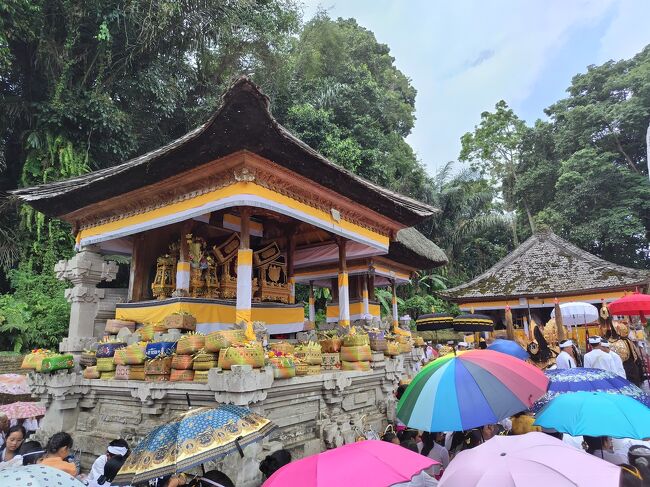 『バリ島ひとりっぷ ② バロン会議に出席』バリ島インドネシアの旅行記・ブログ By Kainalu22さん【フォートラベル】